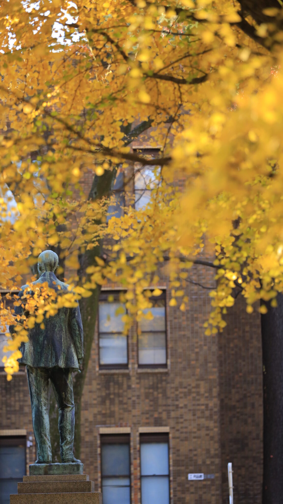 The University of Tokyo Hongo Campus｜Bronze Statues and Ginkgo Trees ...